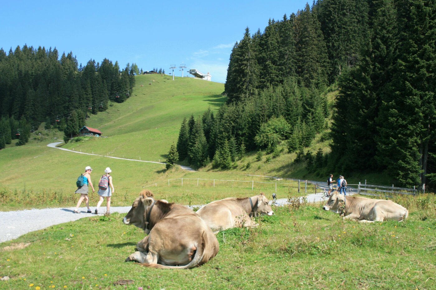 Information über Berwang - Tirol - Appartements Berwang